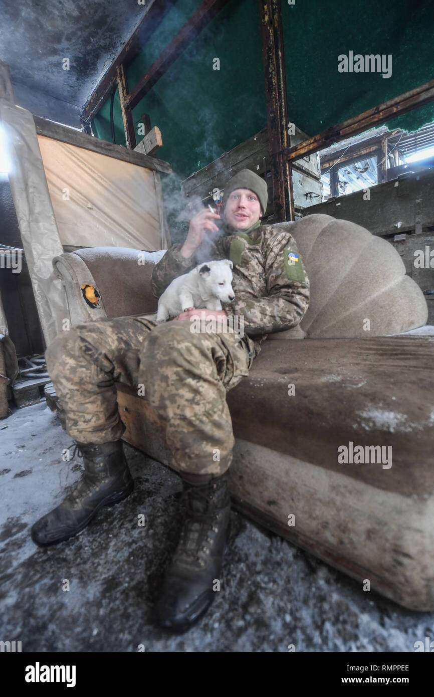 Are Anti Tank Dogs Used In The Army