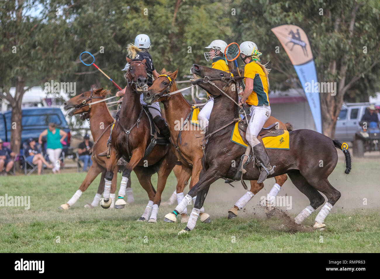 Polocrosse hi-res stock photography and images - Alamy