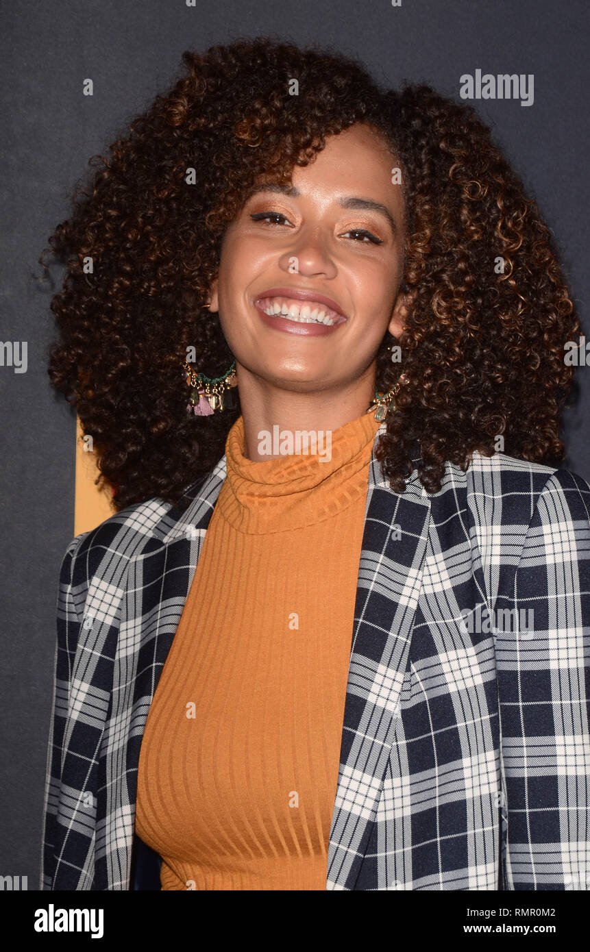 Los Angeles, Ca, USA. 15th Feb, 2019. Danni Washington at The 3rd ...