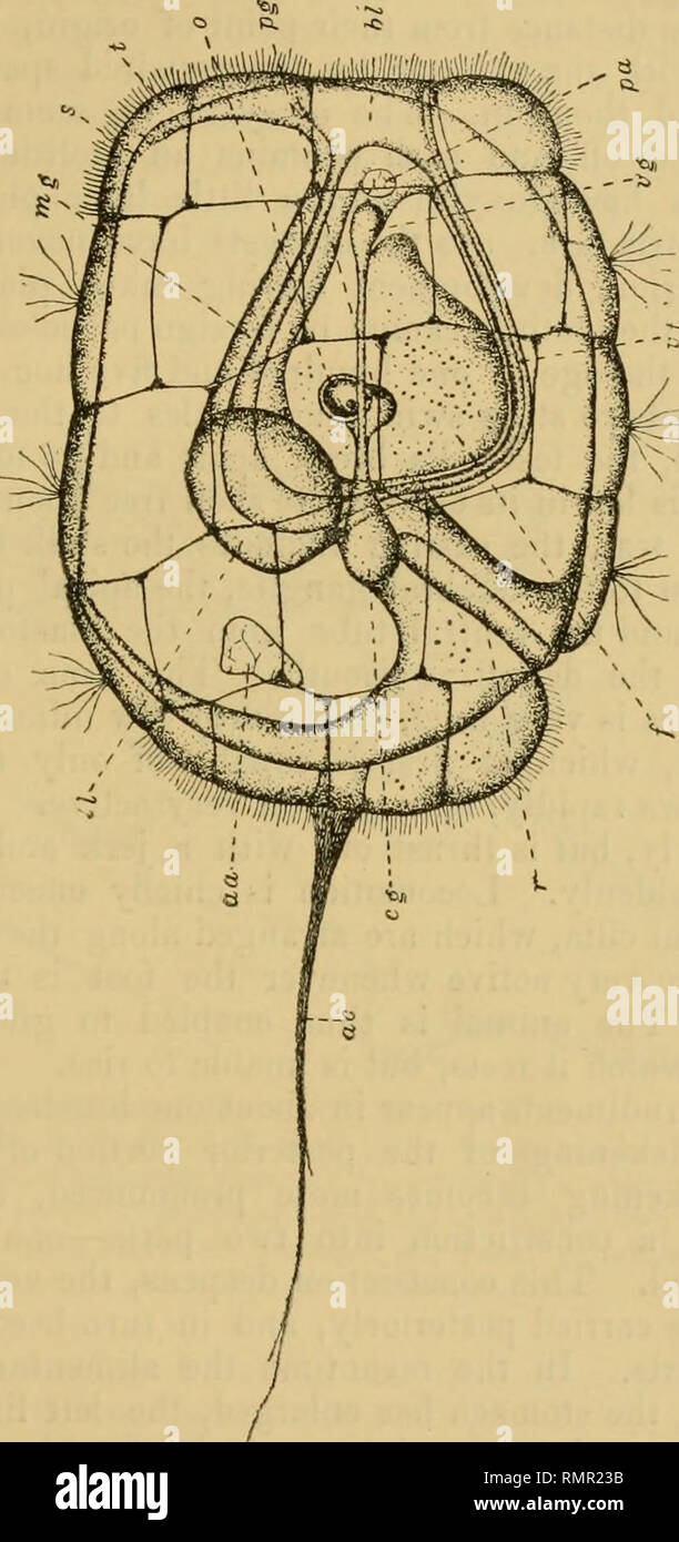 . The Annals and magazine of natural history; zoology, botany, and geology. Natural history ...