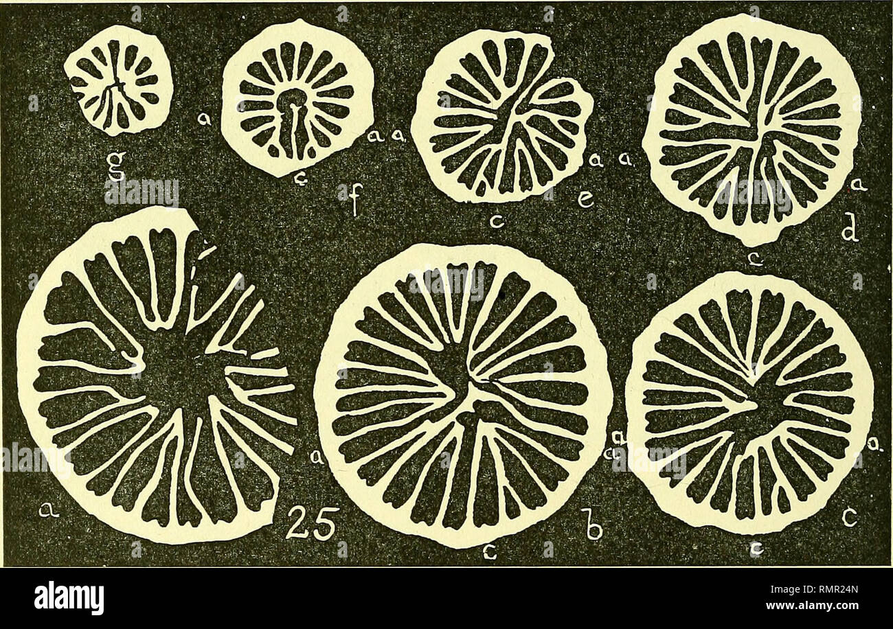 . Annals of the New York Academy of Sciences. Science. G2 ANNALS NEW ...