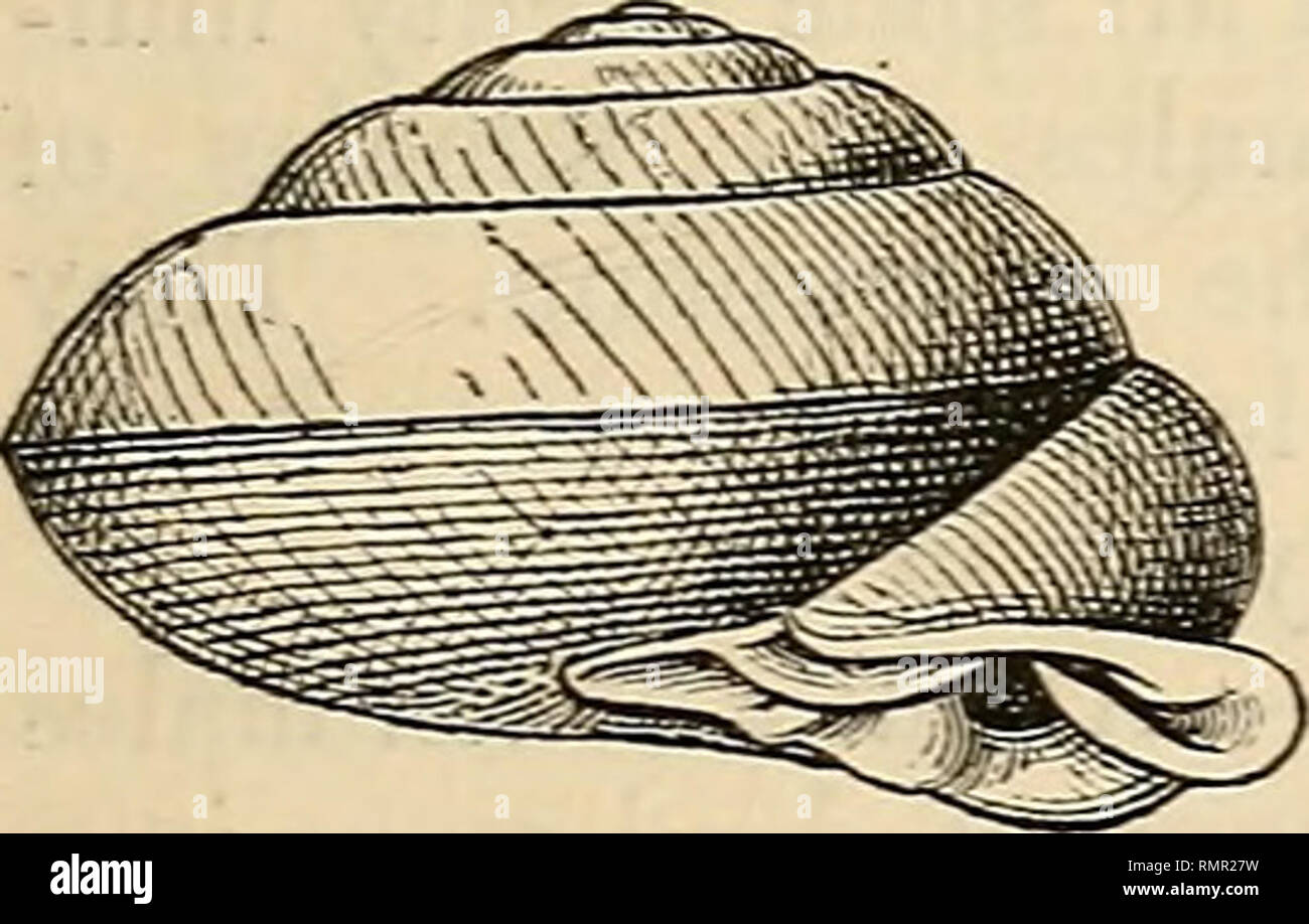 . The Annals and magazine of natural history; zoology, botany, and ...