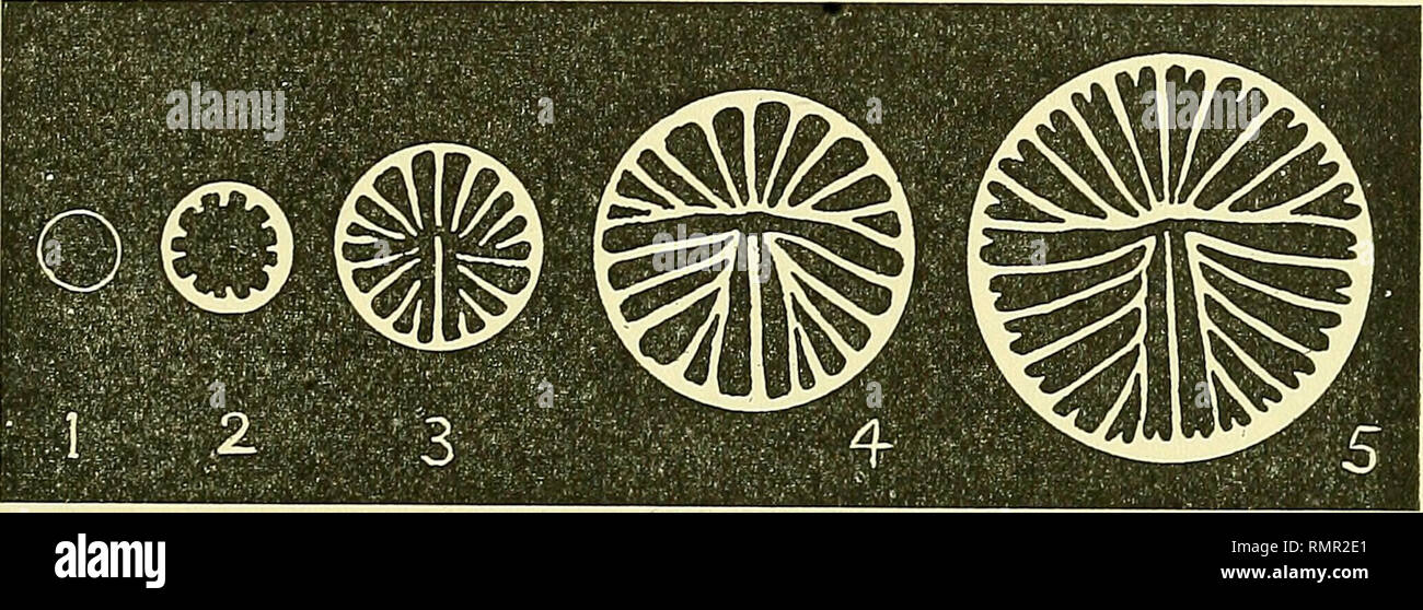 4 quadrants hi-res stock photography and images - Alamy
