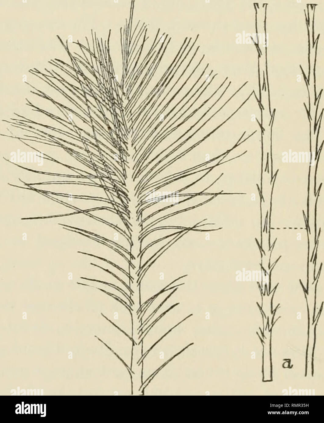 . Annals of the New York Academy of Sciences. Science; Science -- New ...