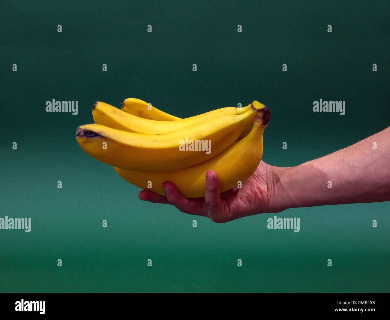 bunch of yellow bananas in man hand on green background Stock Photo - Alamy