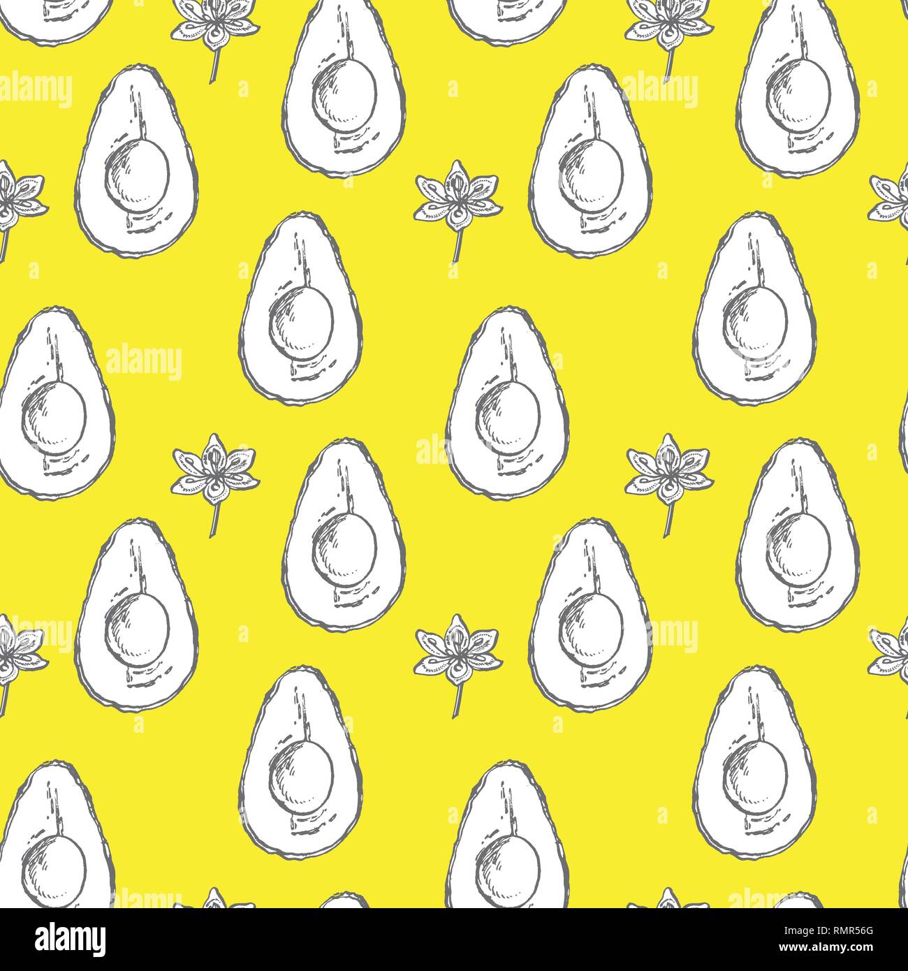 Avocado seamless pattern. Vector hand drawn illustrations. Avocado ...