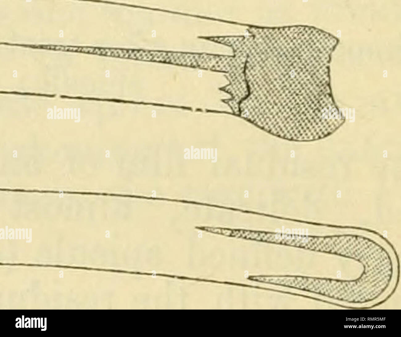 . The Annals and magazine of natural history; zoology, botany, and ...