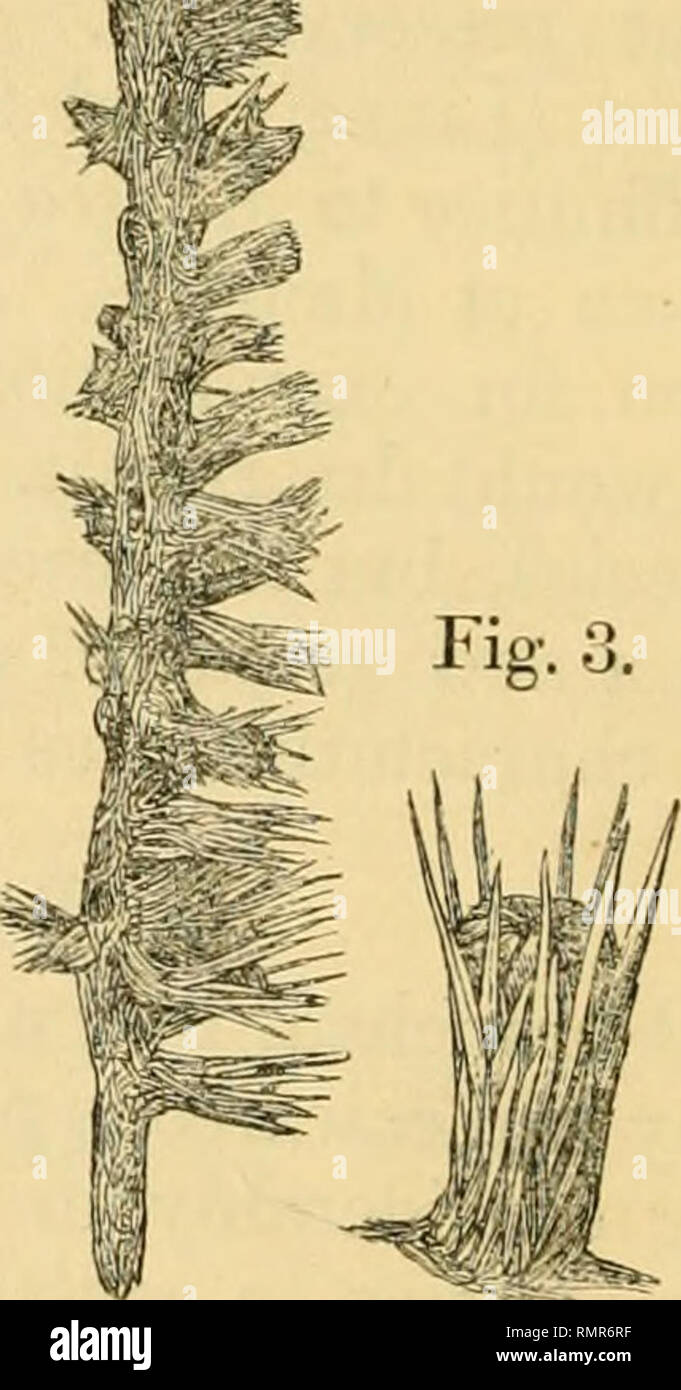 Ana vide hi-res stock photography and images - Alamy