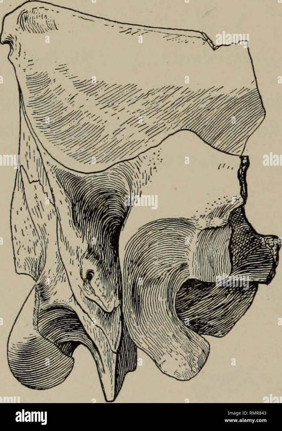 No 854 hi-res stock photography and images - Alamy