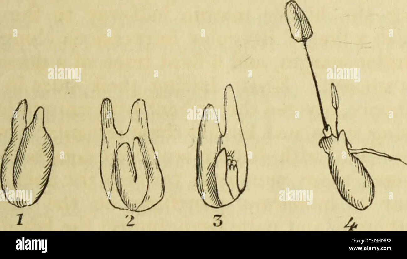 Kings college development hi-res stock photography and images - Alamy