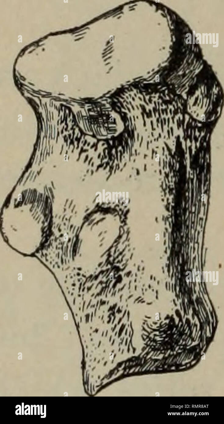 Acces path hi-res stock photography and images - Alamy