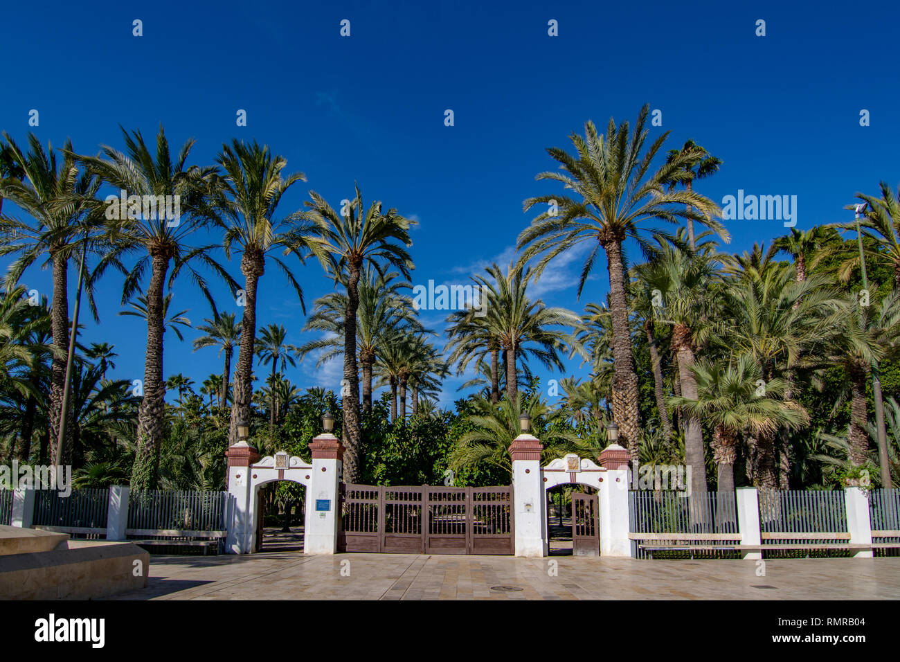 Elche, Alicante, Spain; February 2017: The Palmeral of Elche, Spain ...