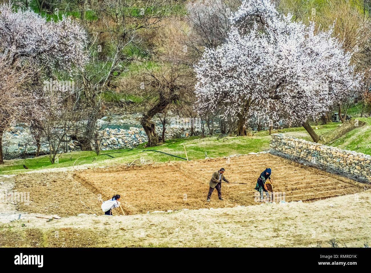 Uzbekistan scenes of life in the village Sentob on the Nuratau ...
