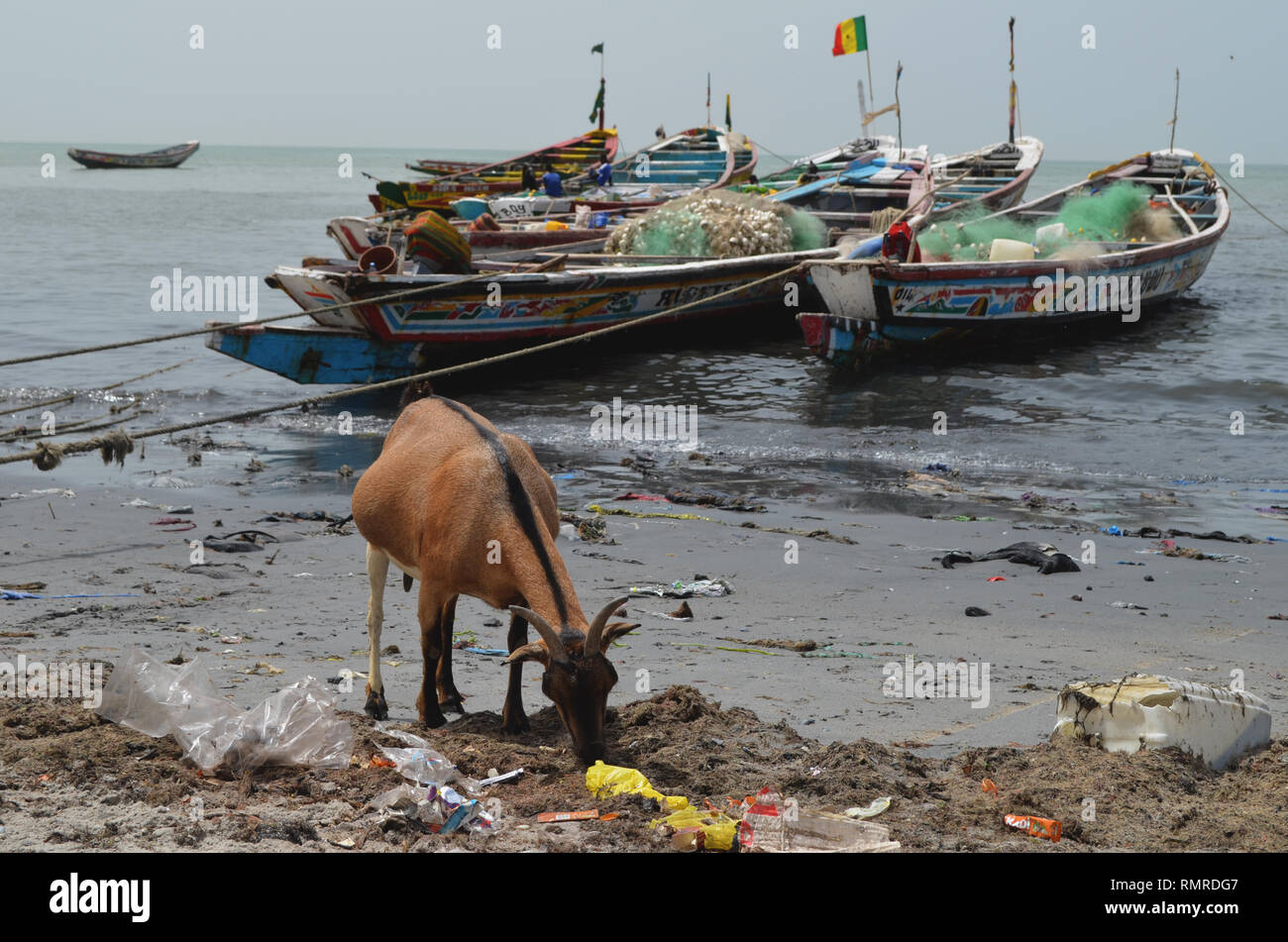 Environmental problems in senegal hi-res stock photography and images ...