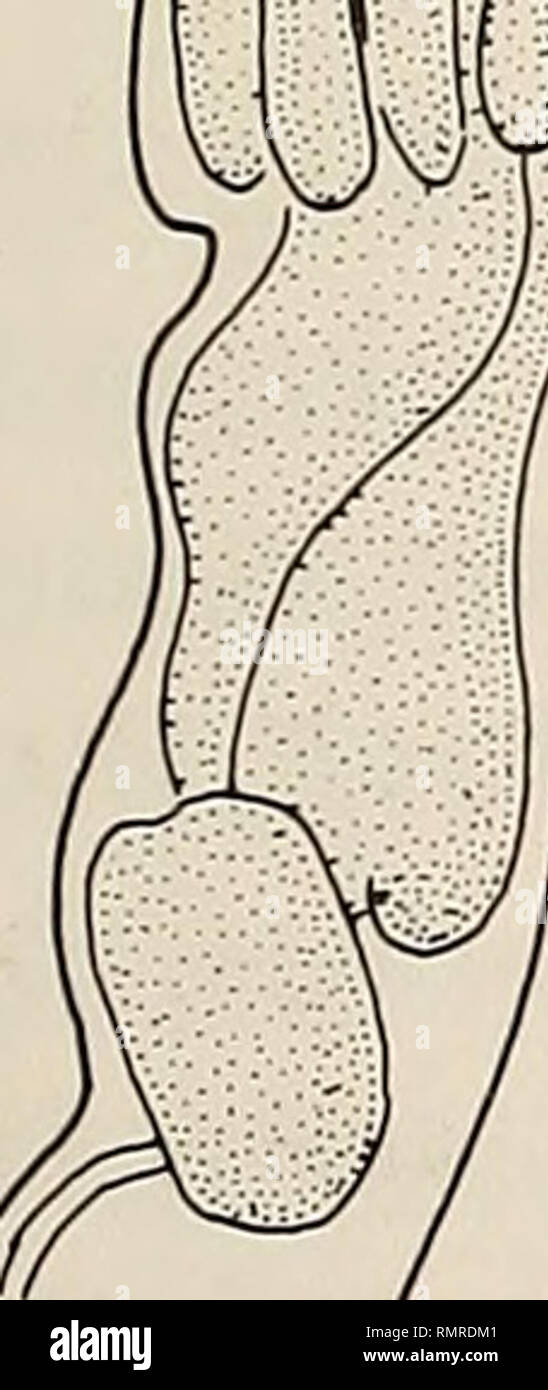 M 2 interface hi-res stock photography and images - Alamy