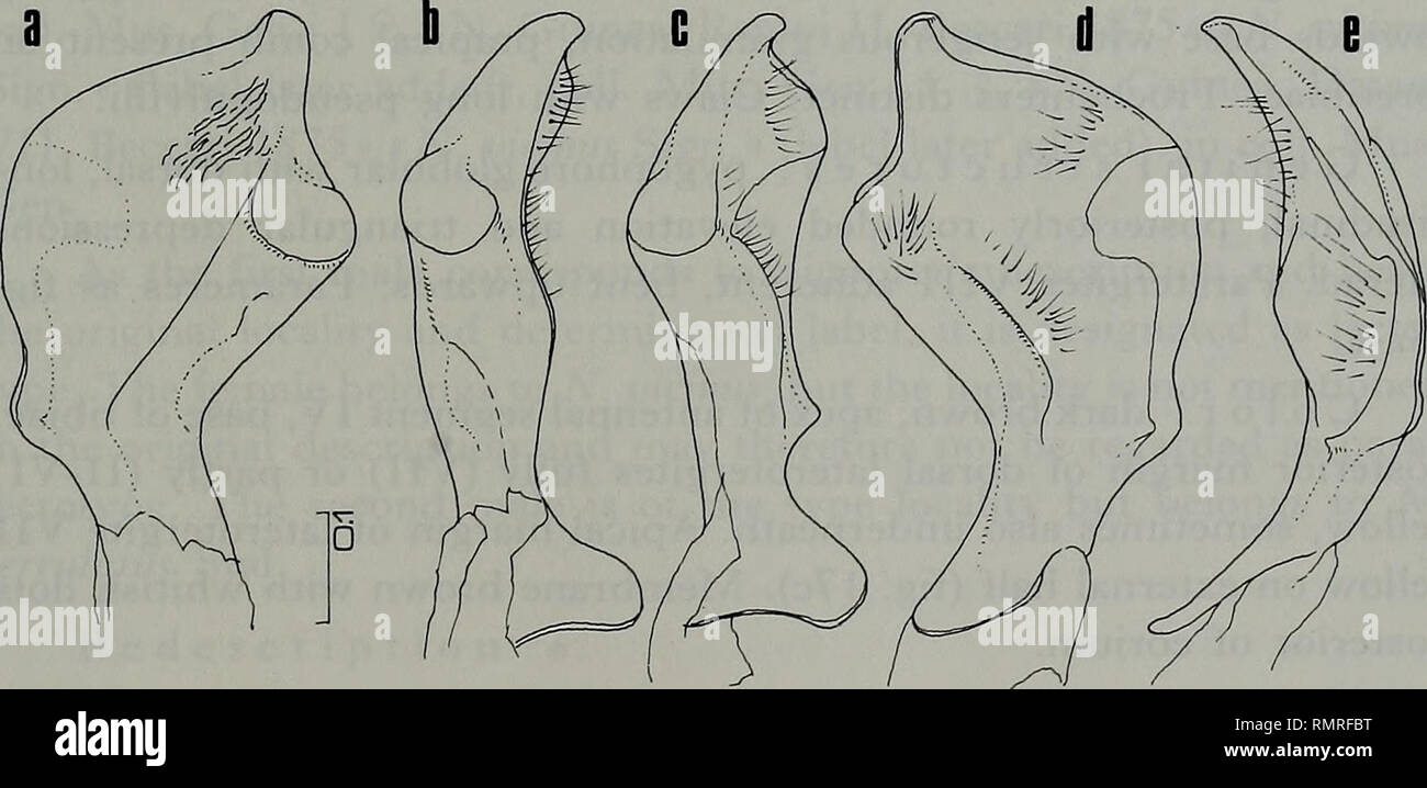 Appendages museo hi-res stock photography and images - Alamy