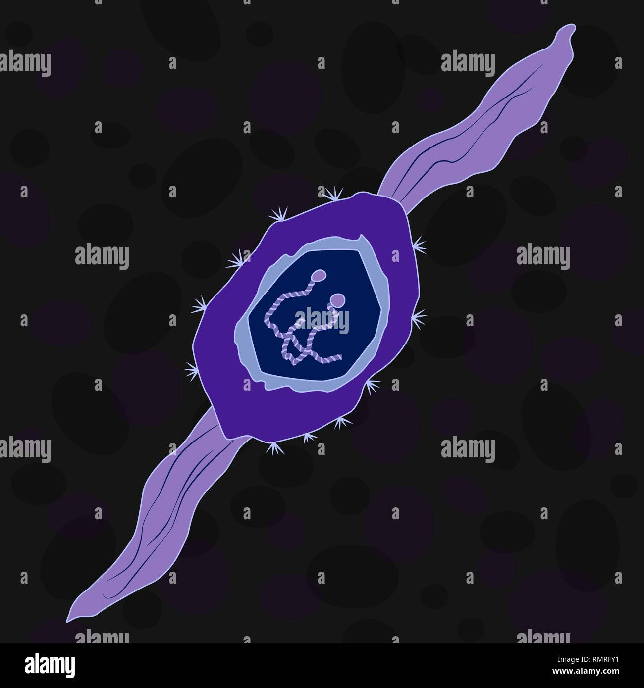 Ligamenvirales virus on dark background, vector illustration Stock ...