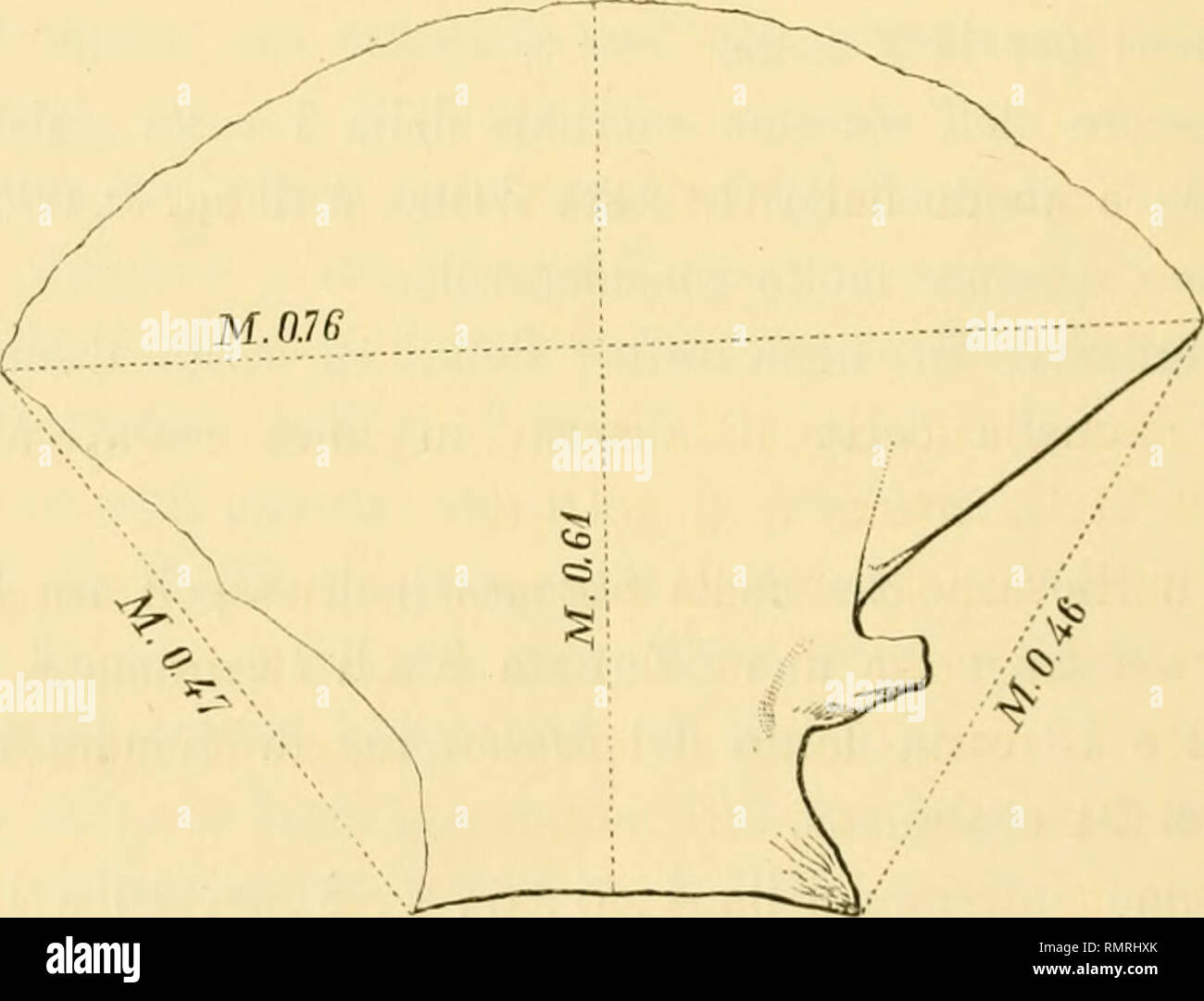 Linea verticale hi-res stock photography and images - Alamy