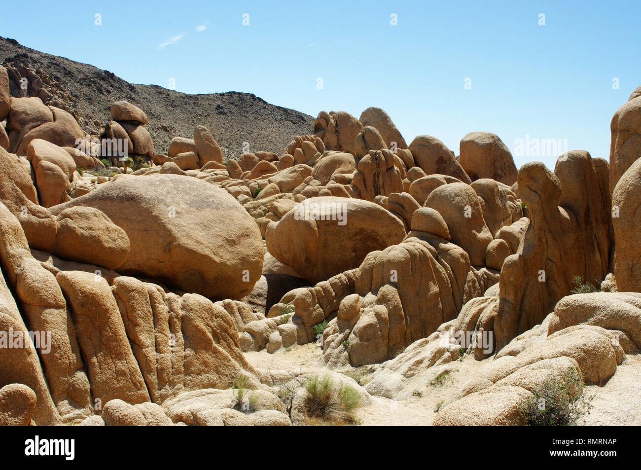 A beautiful rock formation in the Mojave desert, a favorite of ...