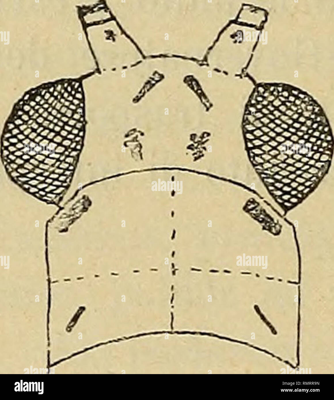 Atomo atomo hi-res stock photography and images - Alamy