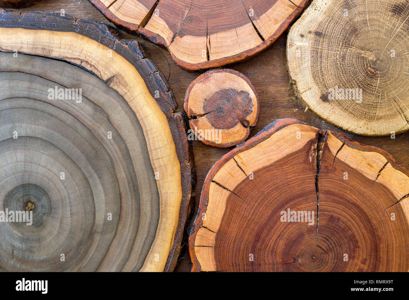 Round wooden unpainted solid natural ecological soft colored brown and ...