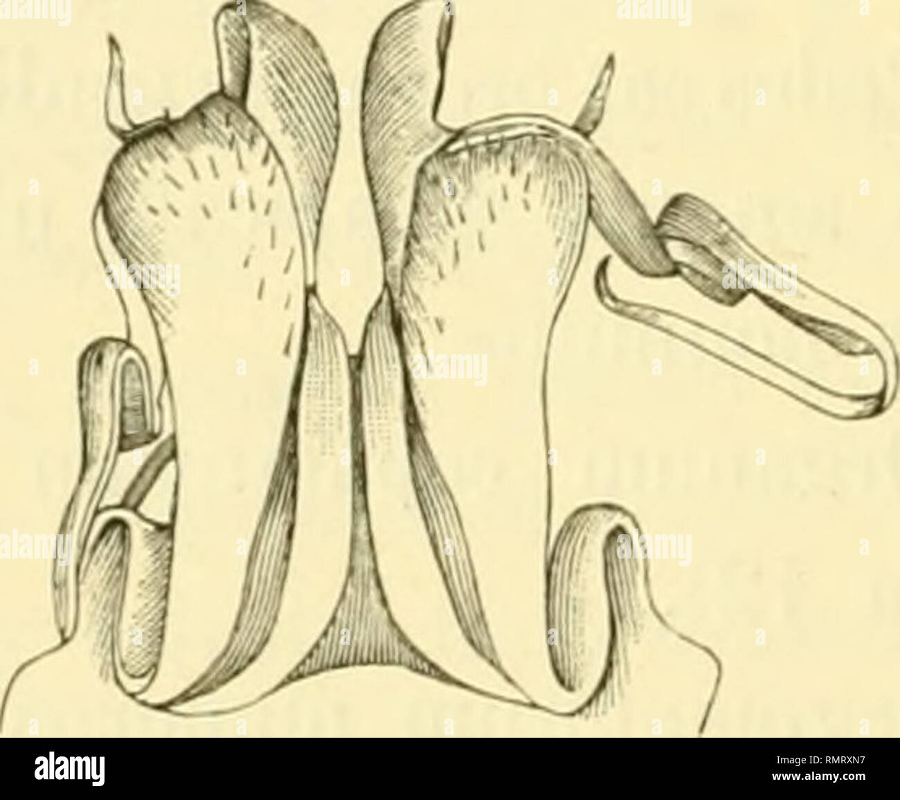 ángulo obtuso hi-res stock photography and images - Alamy