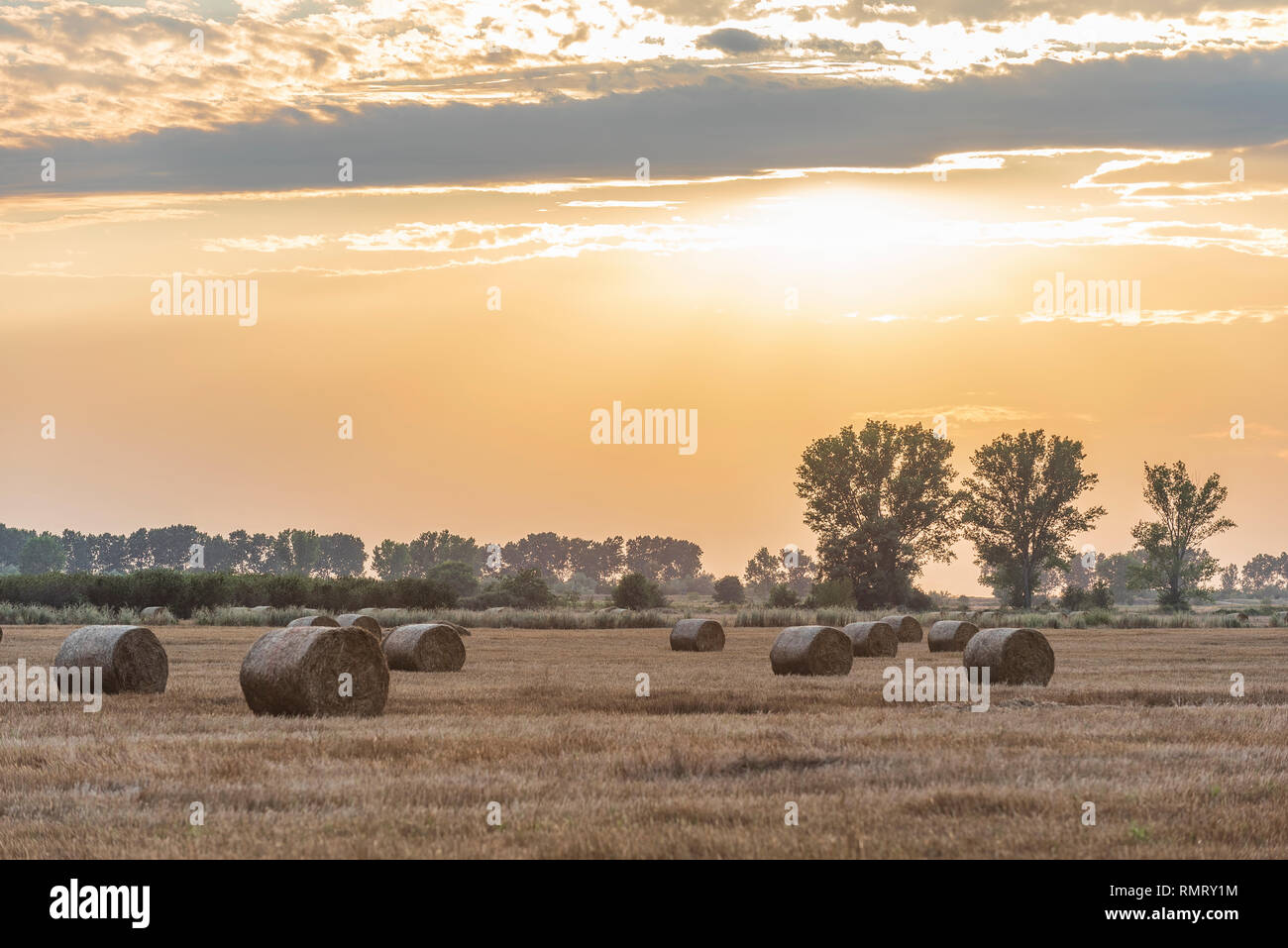 Hay bale. Agriculture field with cloudy sunset. Rural nature in the ...