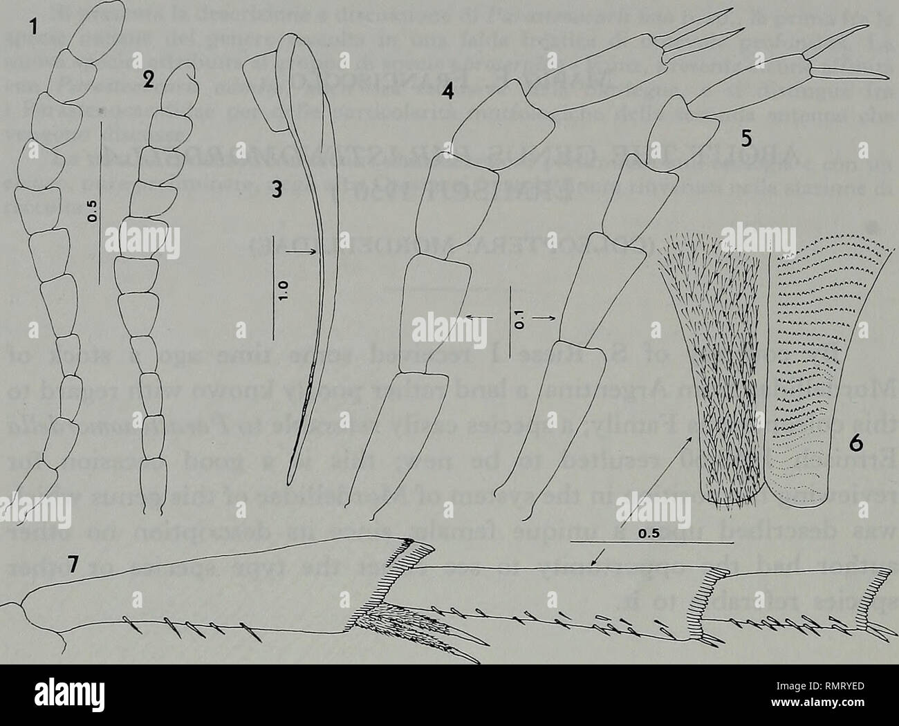 Width 1 58 m hi-res stock photography and images - Alamy