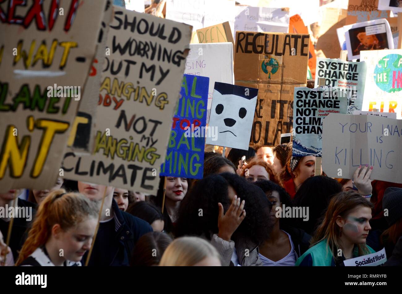 school children in london who left school to protest against the ...