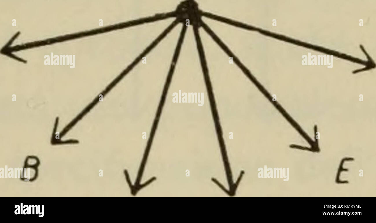 Raggera hi-res stock photography and images - Alamy