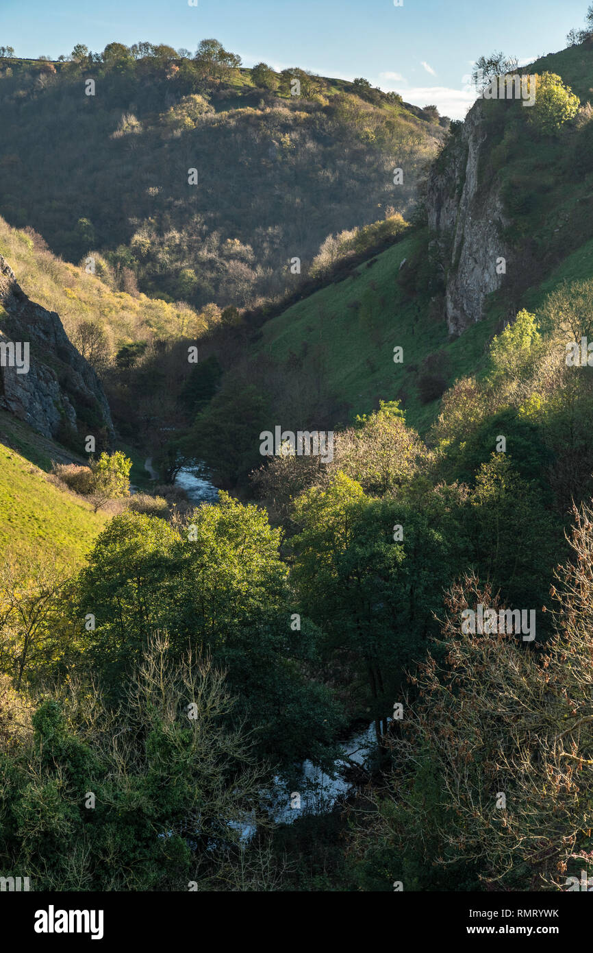 The River Dove below Ravens Tor, Dovedale, Peak District National Park ...