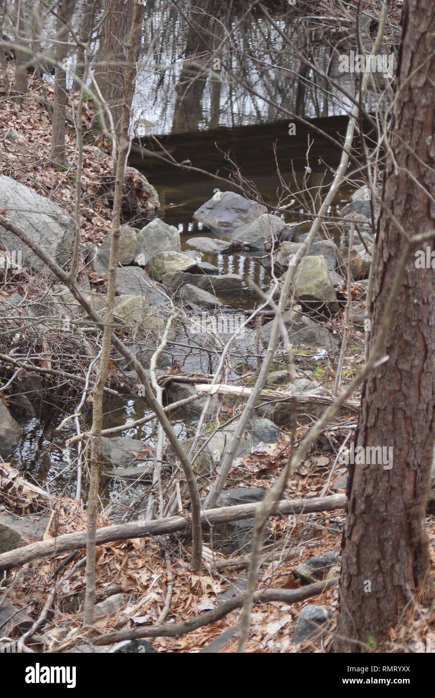 Cold and still hi-res stock photography and images - Alamy