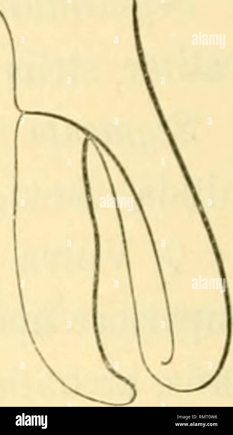 Subord High Resolution Stock Photography and Images - Alamy