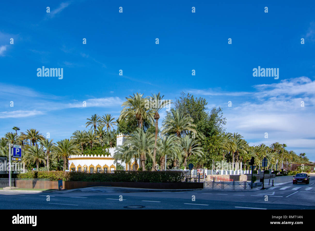 Elche, Alicante, Spain; February 2017: The Palmeral of Elche, Spain ...