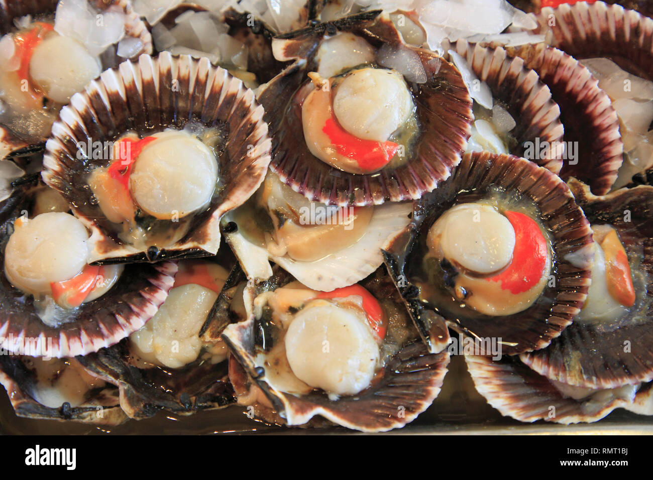 Scallops seafood hi-res stock photography and images - Alamy