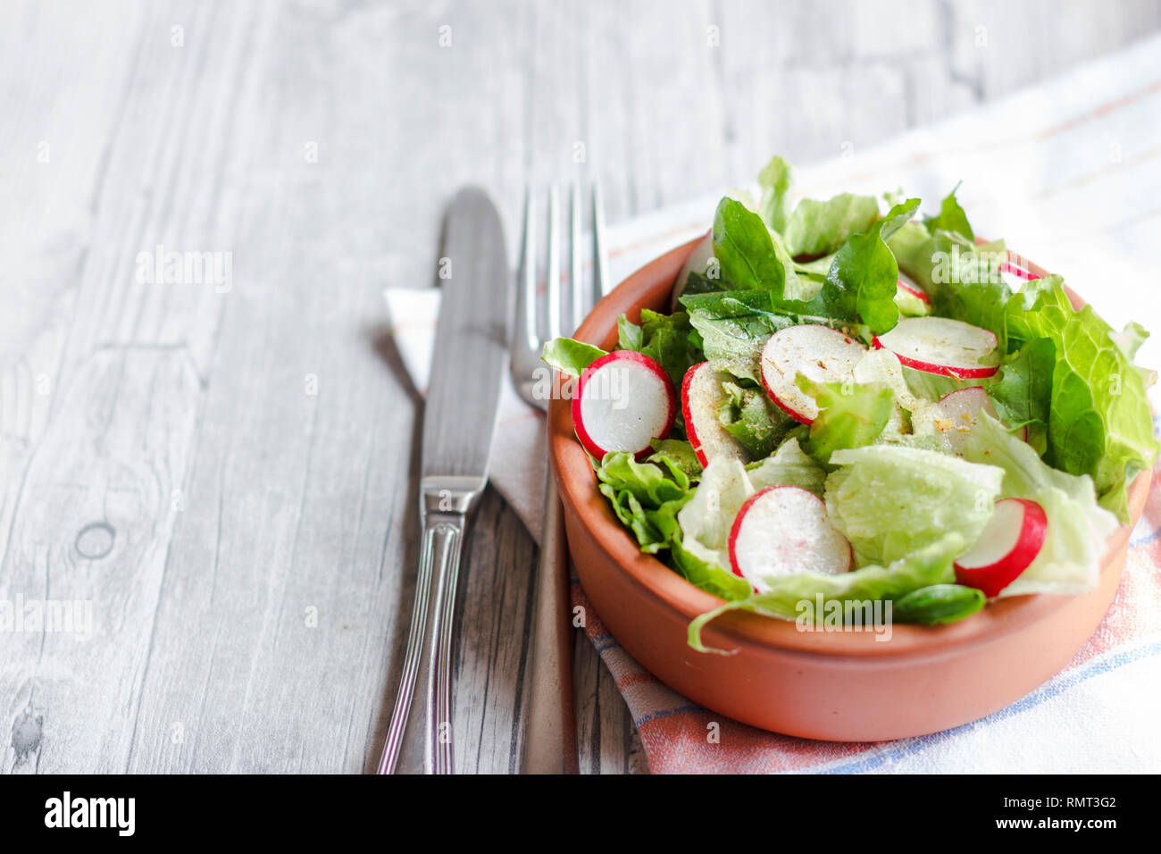 Dietary food for a fitness. Radish, Lettuce and Arugula Salad Stock ...