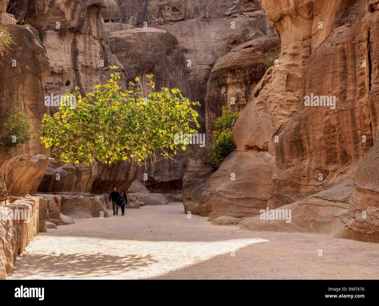 The Siq, Petra, Ma'an Governorate, Jordan Stock Photo - Alamy