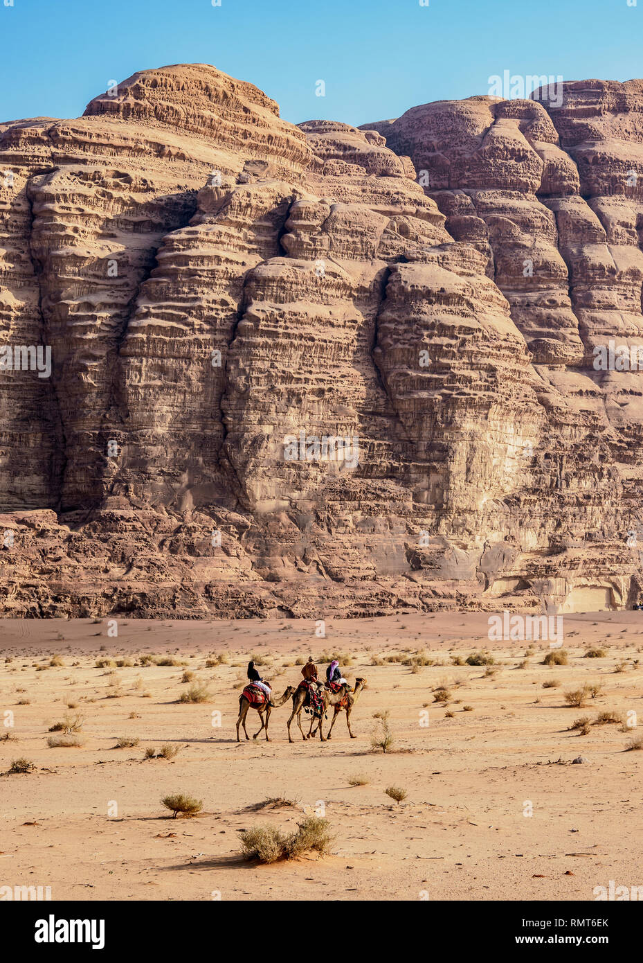 Camel Ride at Wadi Rum, Aqaba Governorate, Jordan Stock Photo - Alamy