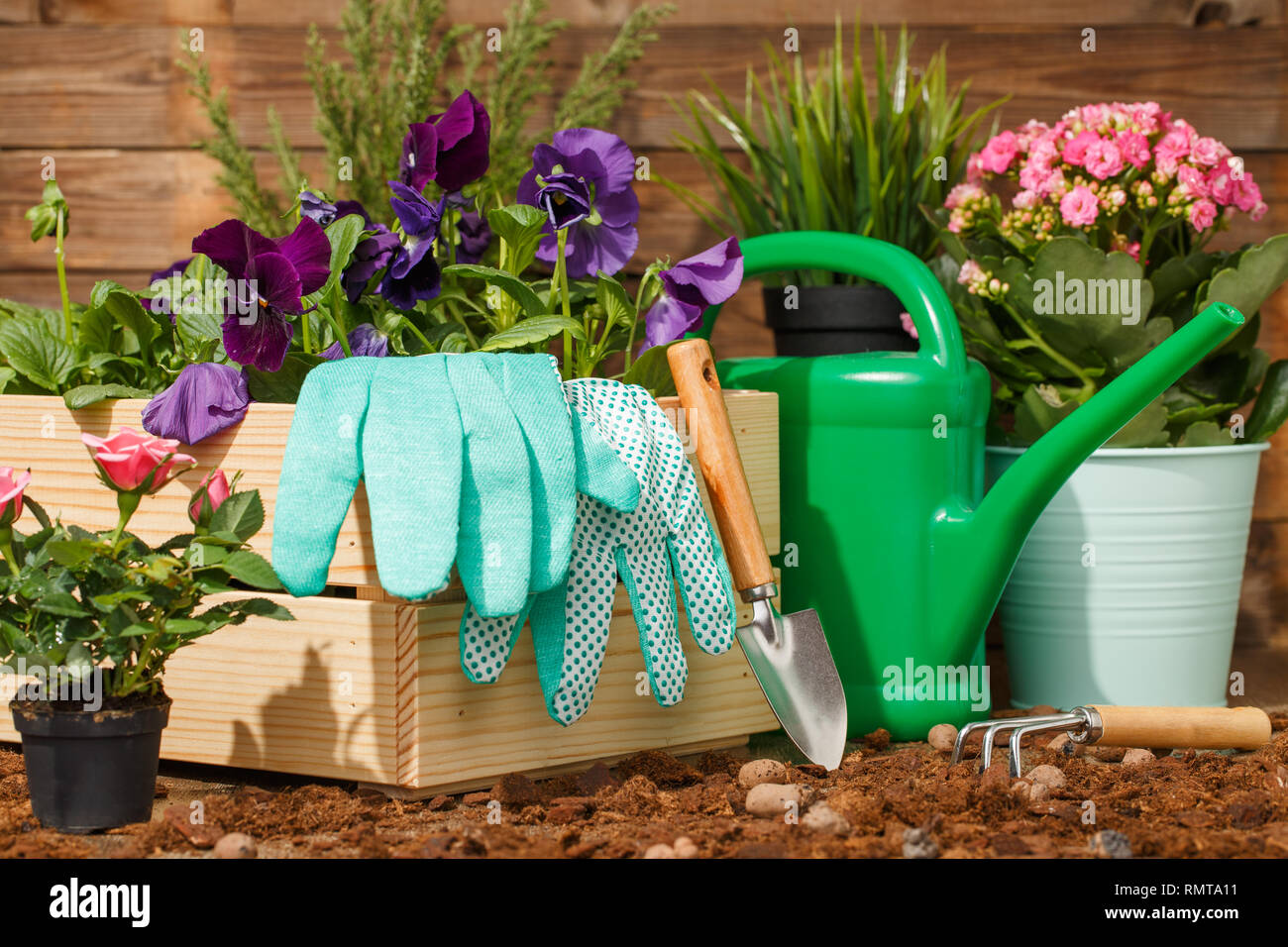 Gardening tools and flowers Stock Photo - Alamy