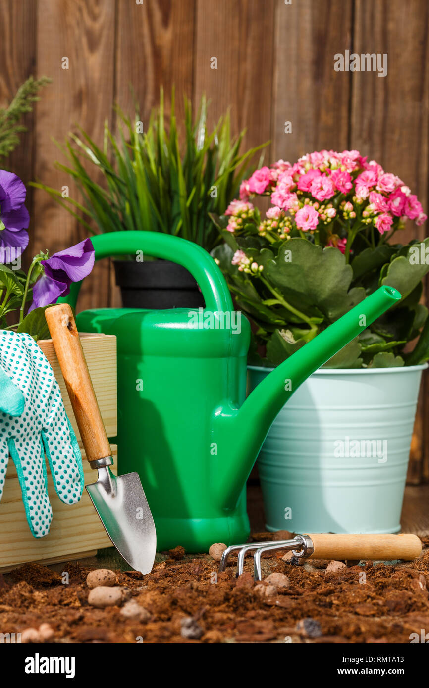 Gardening tools and flowers Stock Photo - Alamy