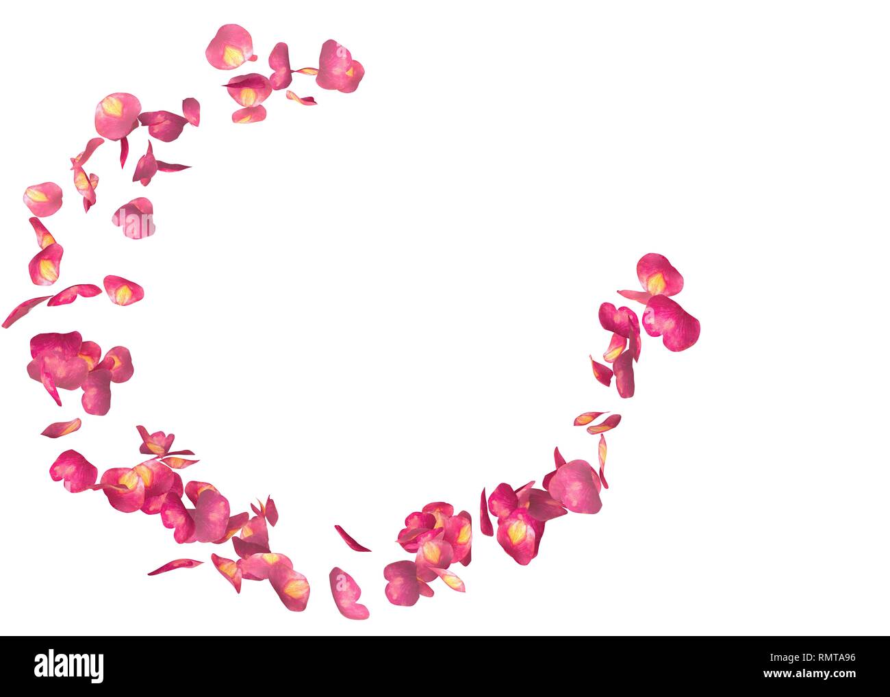 Red rose petals fly in a circle. The center free space for Your photos ...