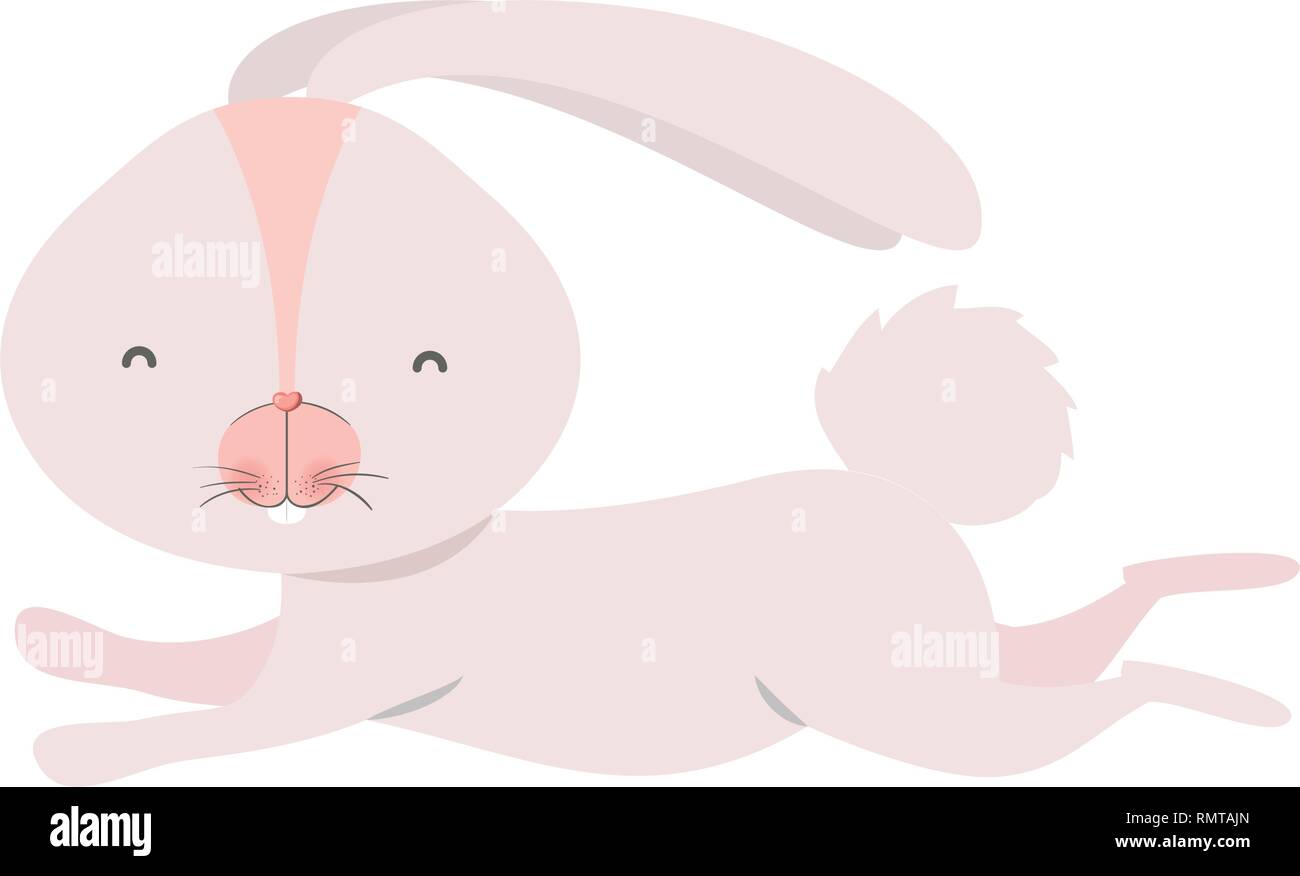 cute rabbit isolated icon Stock Vector Image & Art - Alamy