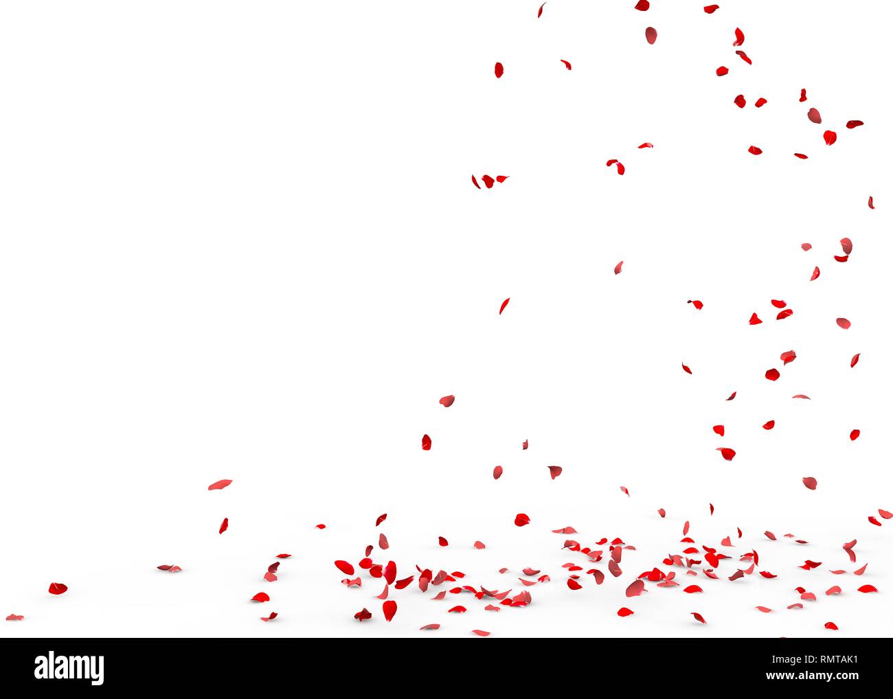 Small rose petals fly and fall to the floor. Isolated white background ...