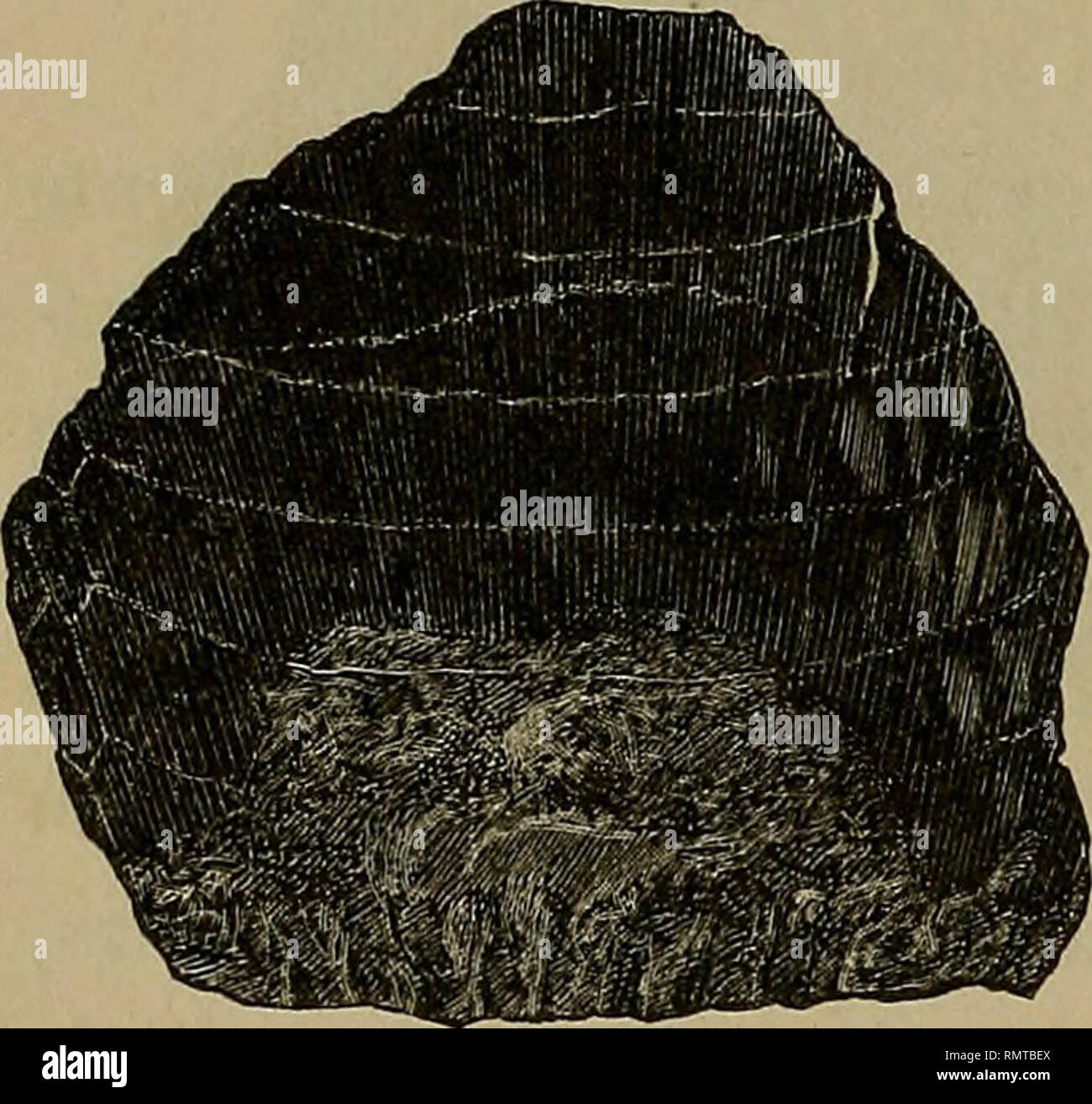 Curva sinuosa hi-res stock photography and images - Alamy