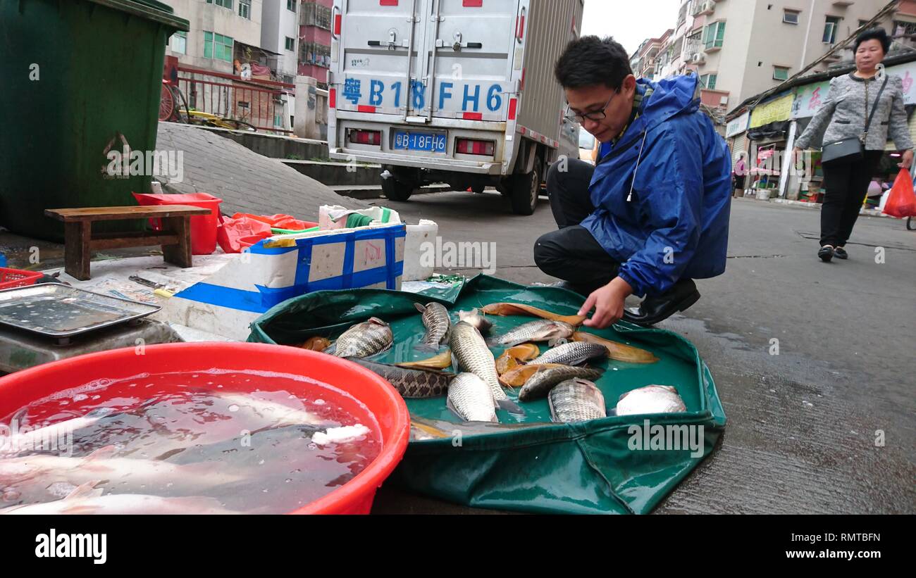 Shenzhen, China: Fish stalls in seafood market Stock Photo - Alamy