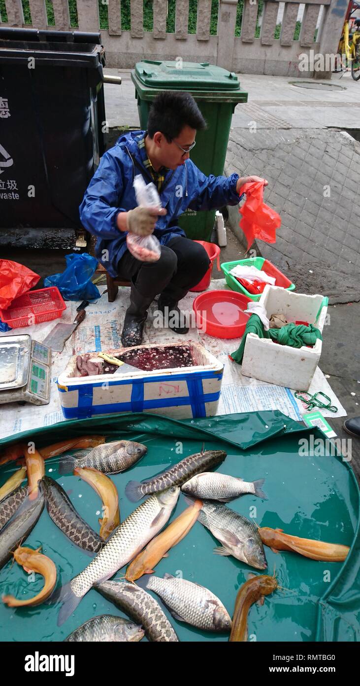 Shenzhen, China: Fish stalls in seafood market Stock Photo - Alamy