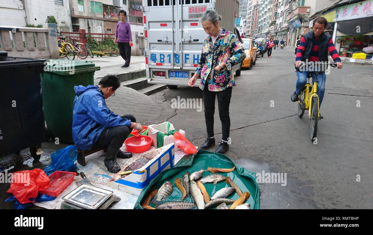 Shenzhen, China: Fish stalls in seafood market Stock Photo - Alamy