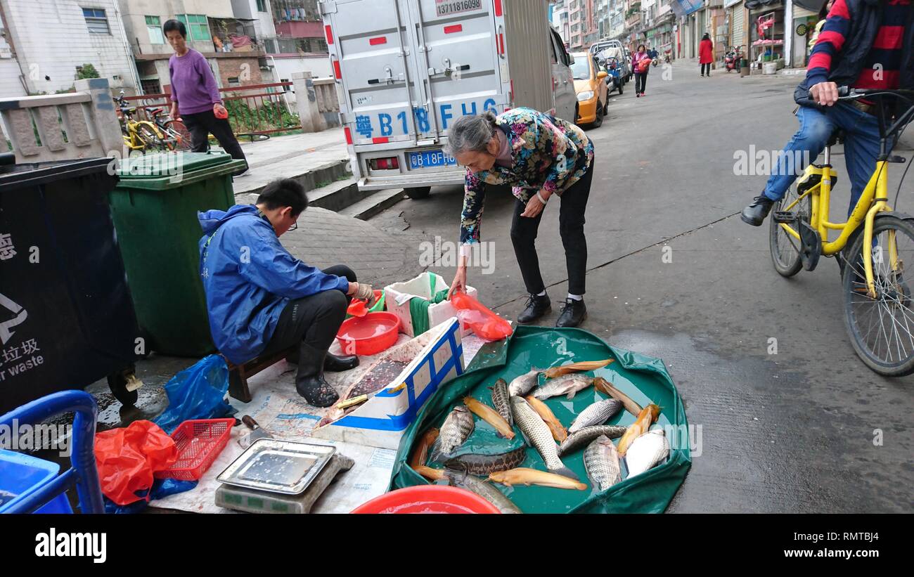 Shenzhen, China: Fish stalls in seafood market Stock Photo - Alamy