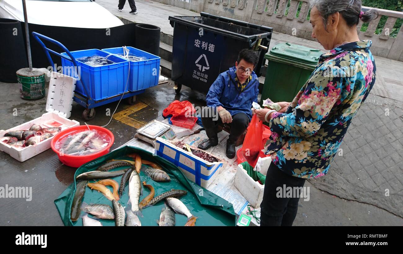 Shenzhen, China: Fish stalls in seafood market Stock Photo - Alamy