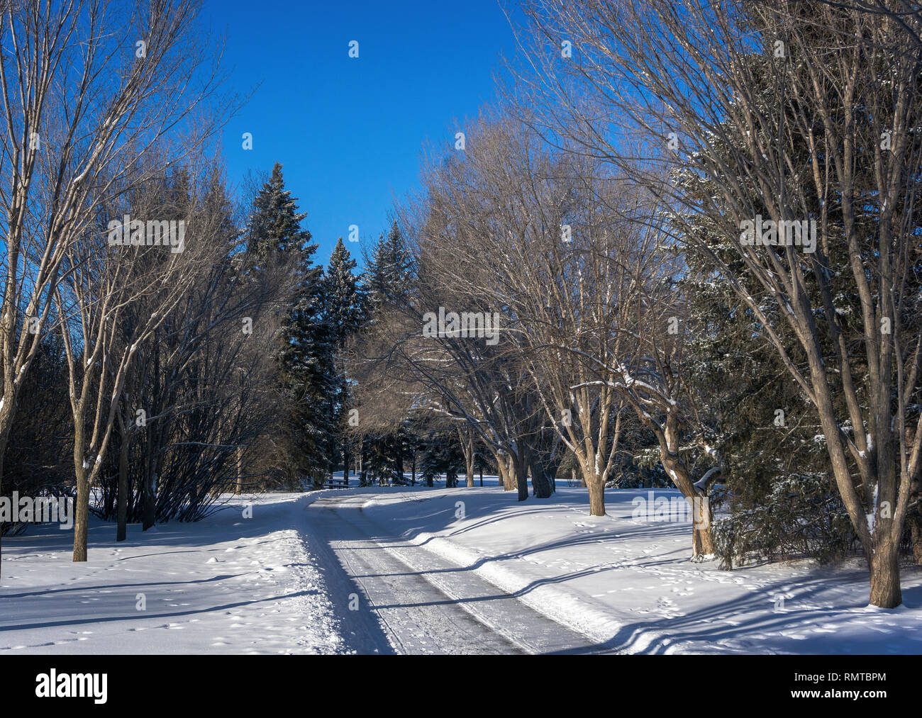 Baker park calgary hi-res stock photography and images - Alamy